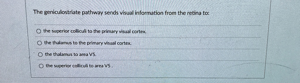 the geniculostriate pathway sends visual information from the retina to ...