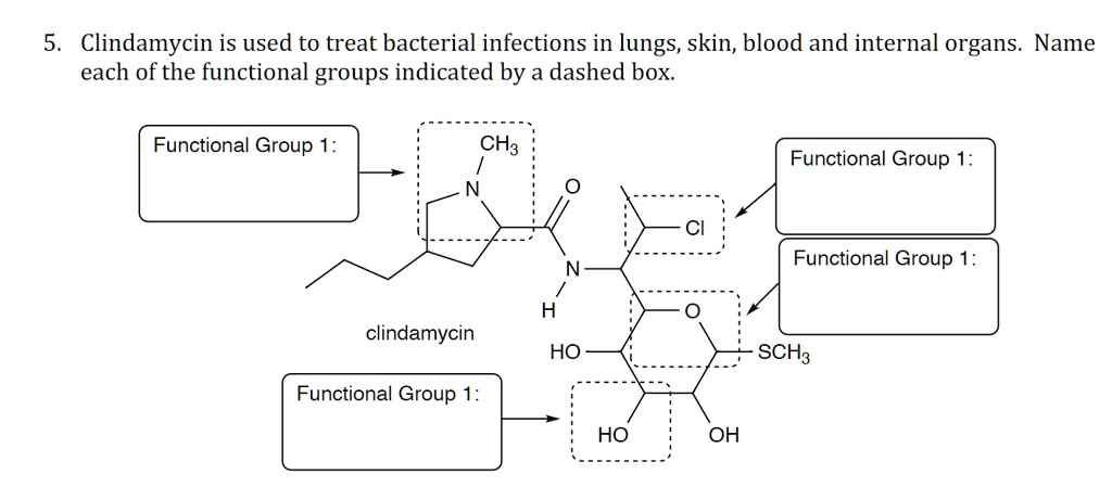 5. Clindamycin is used to treat bacterial infections in lungs, skin ...