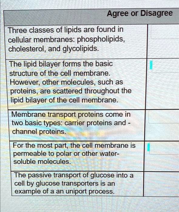 Agree or Disagree Three classes of lipids are found in cellular ...