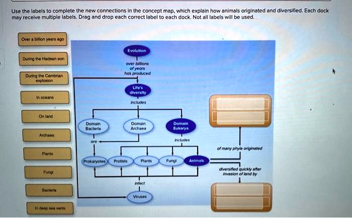 Use the labels to complete the new connections in the concept map, which explain how animals ...