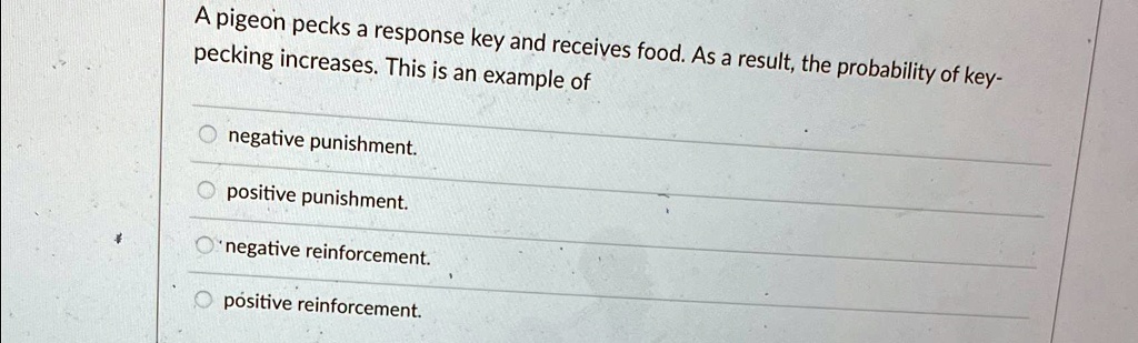 A pigeon pecks a response key and receives food. As a result, the ...