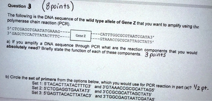 question 3 8points the following is the dna sequence of the polymerase ...