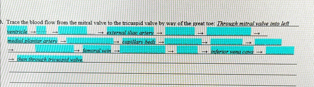 1. Trace the blood flow from the mitral valve to the tricuspid valve by ...