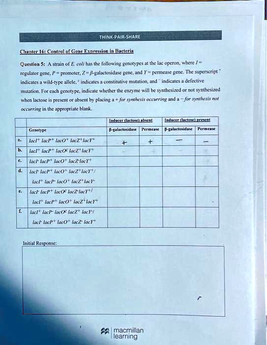 SOLVED: How to solve this, and what does lactose do to the lac operon ...