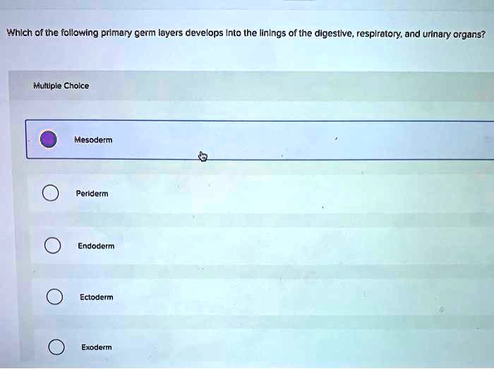 SOLVED: Which of the following primary germ layers develops into the ...