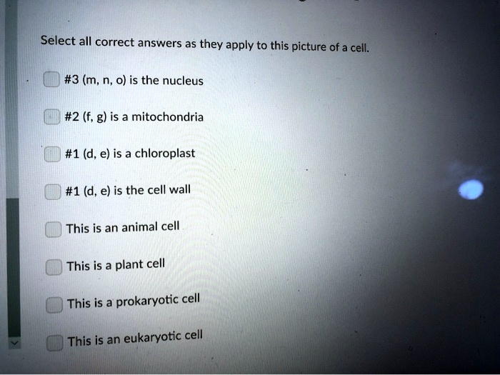 [GET ANSWER] select all correct answers as they apply to this picture ...