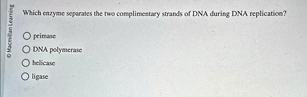 SOLVED: Which enzyme separates the two complementary strands of DNA ...