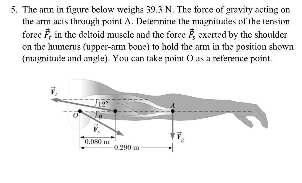 5. The arm in figure below weighs 39.3 N. The force of gravity acting ...