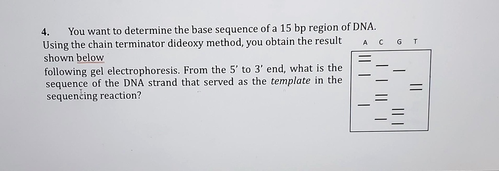 4 you want to determine the base sequence of a 15 bp region of dna ...