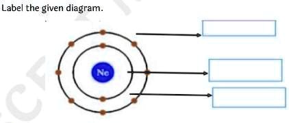 SOLVED: 'Label the given diagram. Label the given diagram 6'