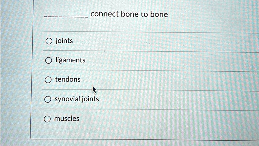 SOLVED: connect bone to bone joints ligaments tendons synovial joints ... SOLVED: connect bone to bone joints ligaments tendons synovial joints ...