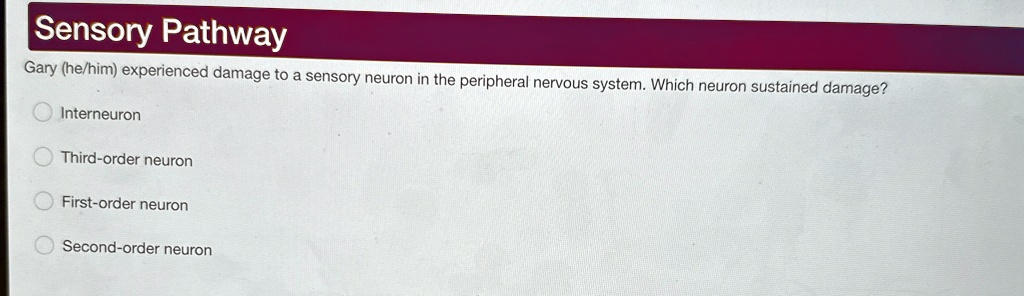 sensory pathway gary hehim experienced damage to a sensory neuron in ...