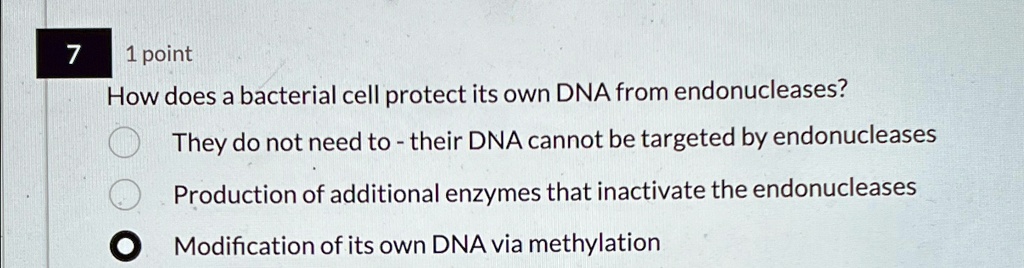 7 1 point How does a bacterial cell protect its own DNA from ...