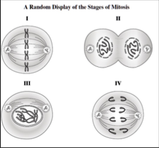 SOLVED: Cells in an implanted embryo undergo the process of mitosis as ...