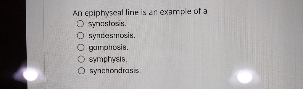 an epiphyseal line is an example of a synostosis syndesmosis gomphosis ...