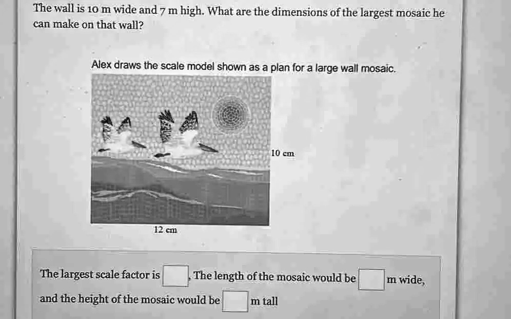 the wall is 10 m wide and 7 m high what are the dimensions of the ...