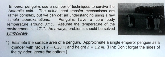 SOLVED: Emperor penguins use number of techniques t0 survive the ...