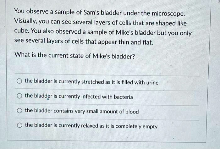 You observe a sample of Sam's bladder under the microscope. Visually ...