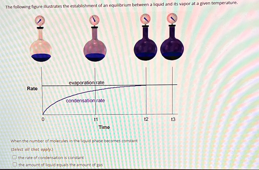 The following figure illustrates the establishment of an equilibrium ...