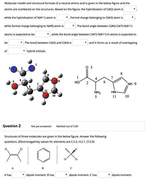Molecular model and structural formula of a neutral amino acid is given ...