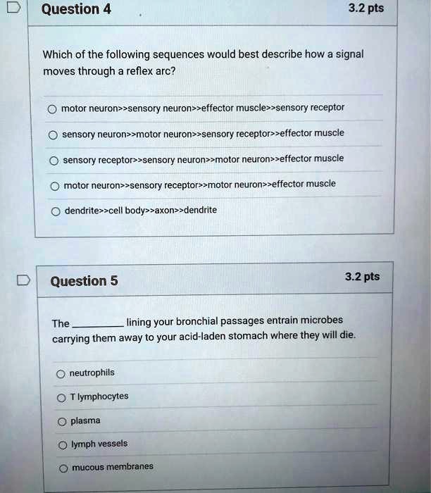 SOLVED: Question 4 3.2pts Which of the following sequences would best describe how a signal ...