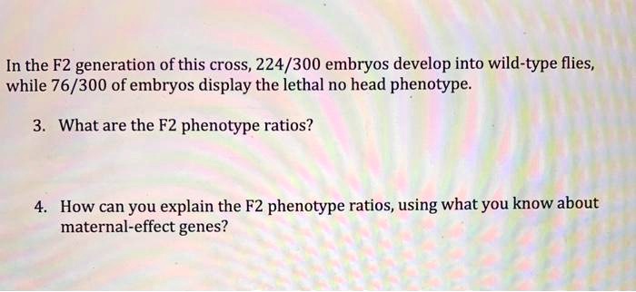 SOLVED: In the F2 generation ofthis cross, 224/300 embryos develop into ...