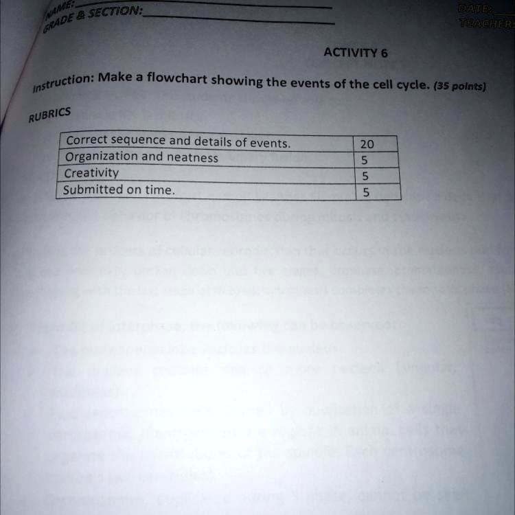 make a flowchart showing the events of the cell cycle fi section 0o5 ...