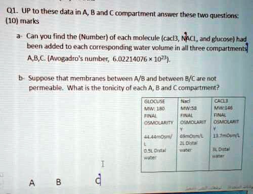 SOLVED:Q1 UP to these data in A, B ard € compartment answer these {Wa ...