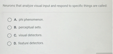 Neurons that analyze visual input and respond to specific things are called: A. phi phenomenon ...