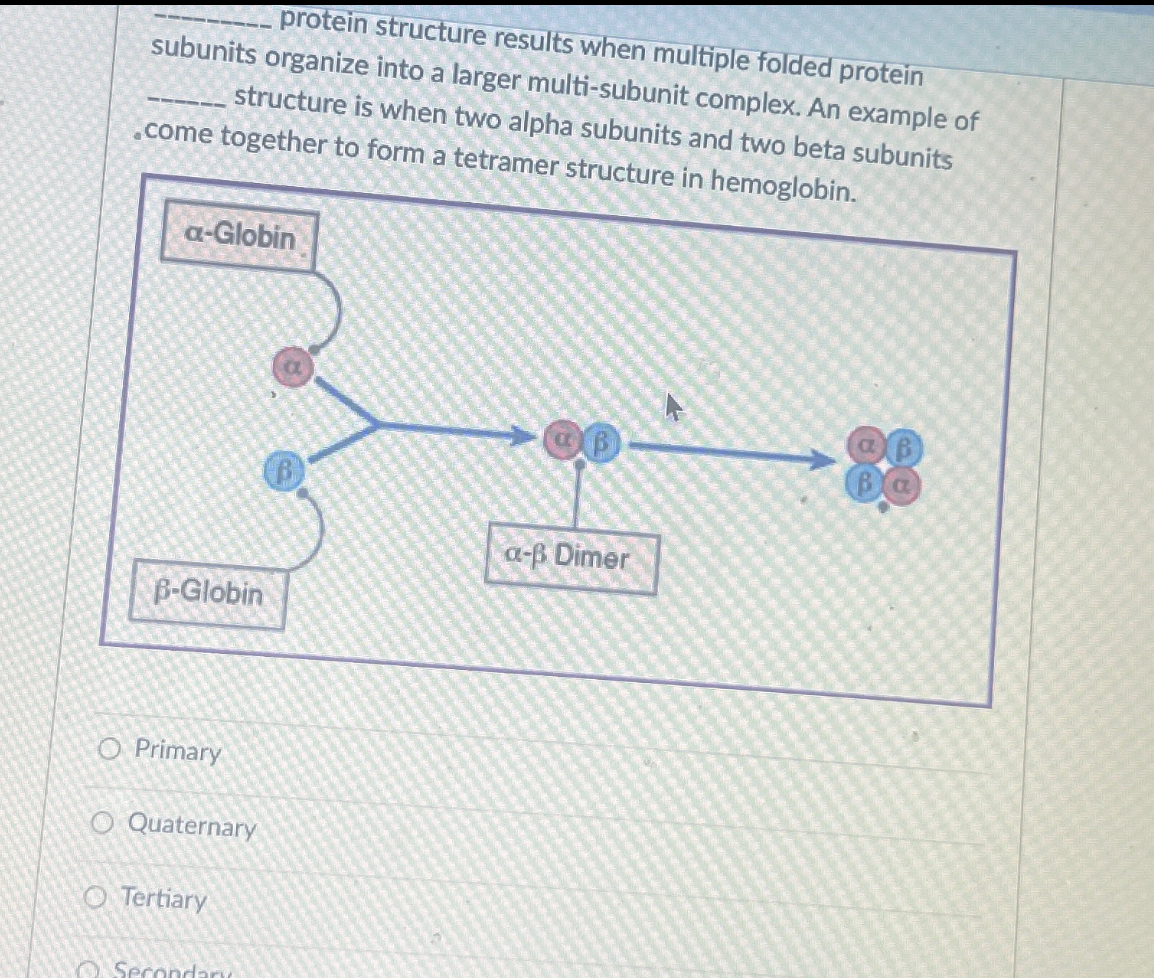 protein structure results when multiple folded protein subunits ...