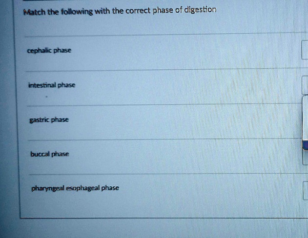 match the following with the correct phase of digestion cephalic phase ...