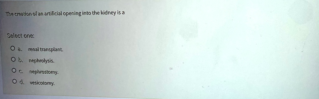 the creation of an artificial opening into the kidney is a select one o ...
