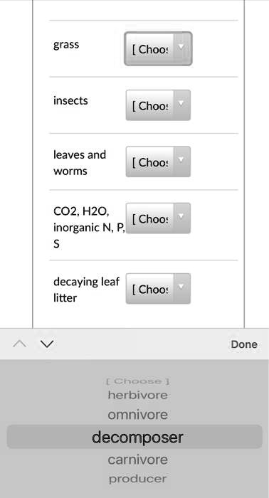 SOLVED:grass [Choo: insects [Choo: leaves and worms [Choo: CO2,H2O ...