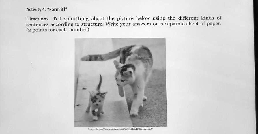 SOLVED: Ex. simple sentence = The kitten enjoys walking. 1. simple ...