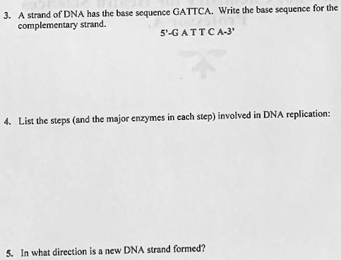 3. A strand of DNA has the base sequence GATTCA. Write the base ...