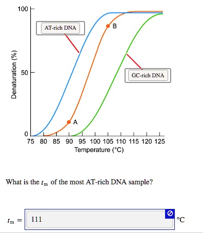 SOLVED: 100 AT-rich DNA € 1 GC-rich DNA 95 100 105 110 115 120 125 ...