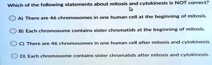 SOLVED: Which of the following statements about mitosis and cytokinesis ...