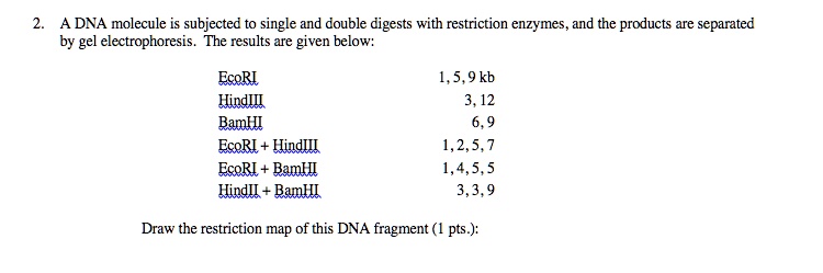 [GET ANSWER] a dna molecule is subjected to single and double digests ...