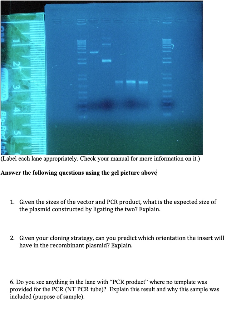 4 label each lane appropriately check your manual for more information ...