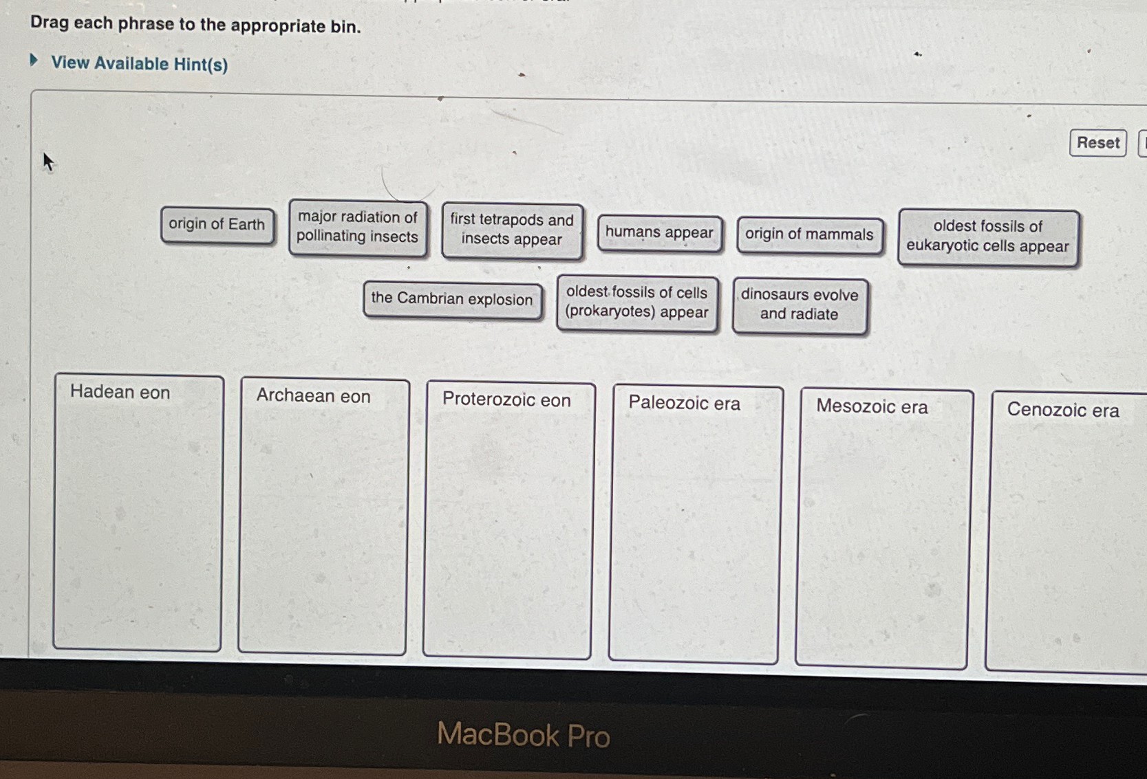 Drag each phrase to the appropriate bin. View Available Hint(s) Reset ...