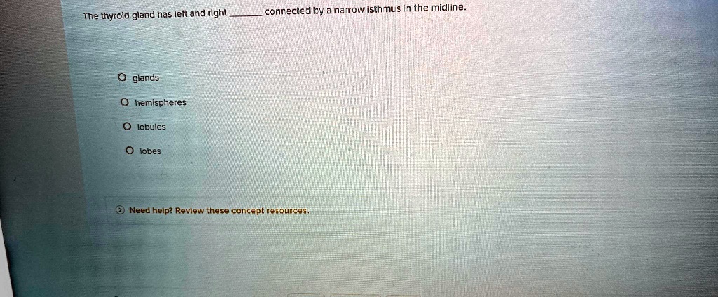 SOLVED: The thyroid gland has left and right lobes connected by a ...