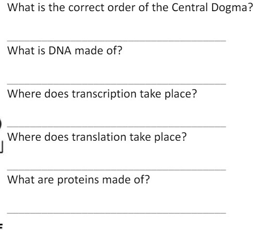 SOLVED: 'What is the correct order of the Central Dogma? What is DNA ... SOLVED: 'What is the correct order of the Central Dogma? What is DNA ...