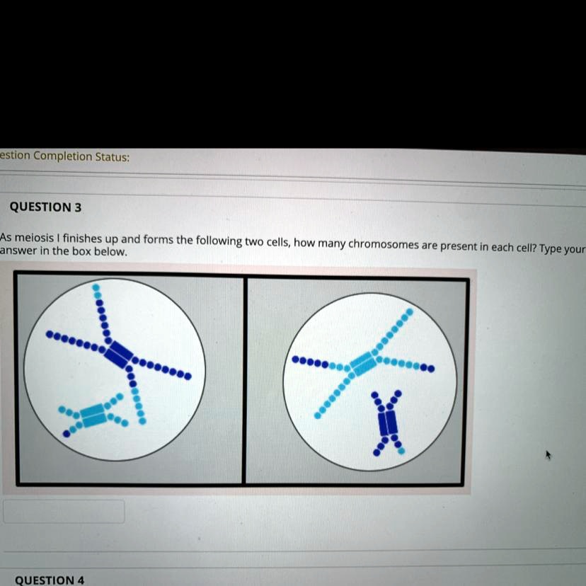 SOLVED: 'how many chromosomes are present in each cell? according to ... SOLVED: 'how many chromosomes are present in each cell? according to ...