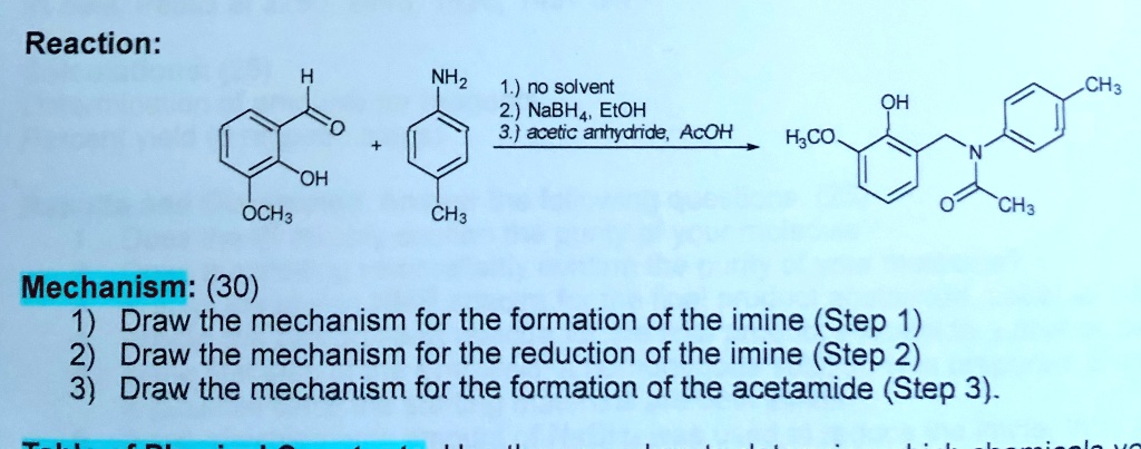 Reaction: H +NH2 1.) no solvent 2.) NaBH4, EtOH 3.) acetic anhydride ...