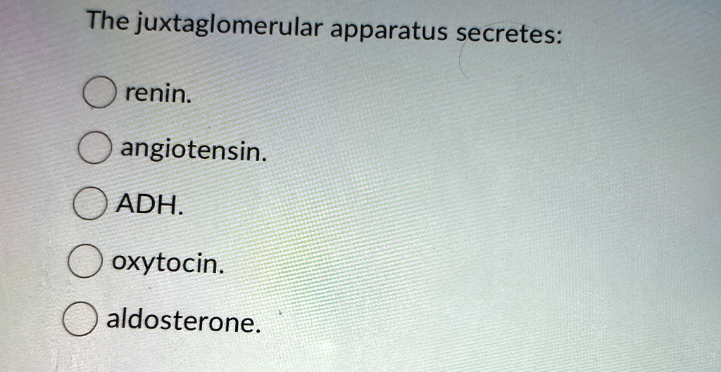 The juxtaglomerular apparatus secretes: renin. angiotensin. ADH ...