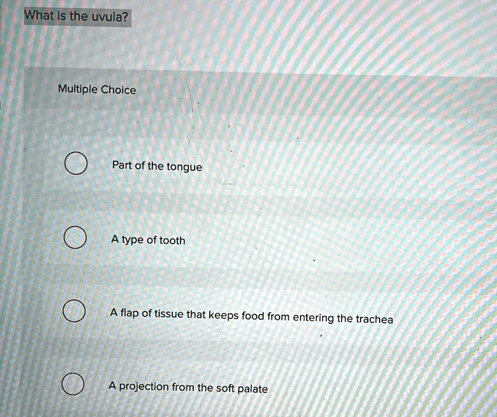 what is the uvula multiple choice part of the tongue a type of tooth a ...