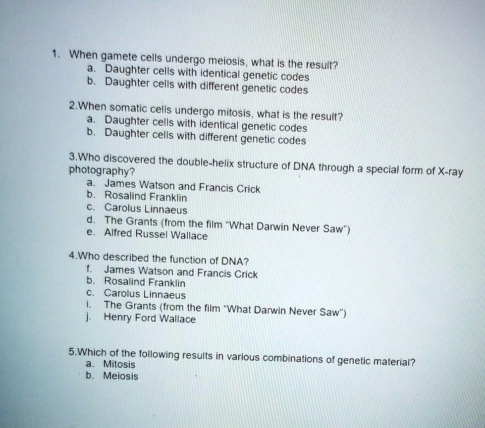 when gamete cells undergo meiosis what is the result daughter cells ...