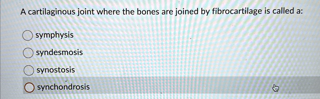 A cartilaginous joint where the bones are joined by fibrocartilage is ...