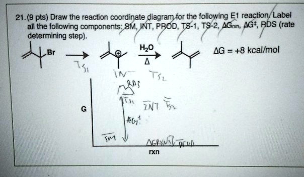 219 pts draw the reaction coordinate diagram for the following et ...