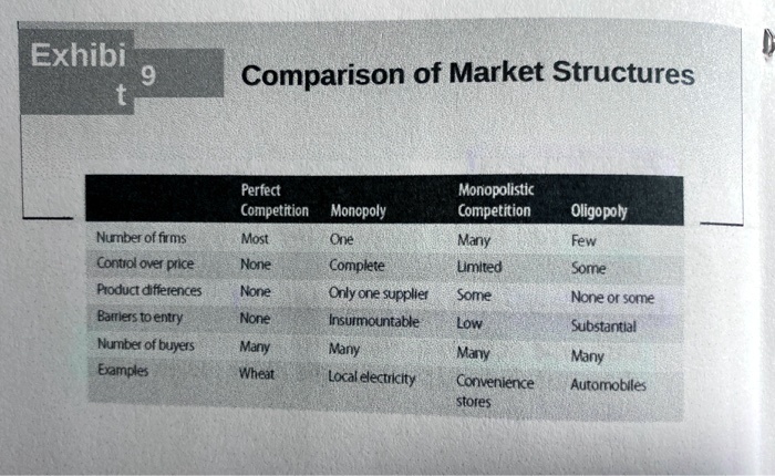 SOLVED: Which Market Structures is AI(Artificial Intelligence Industry ...
